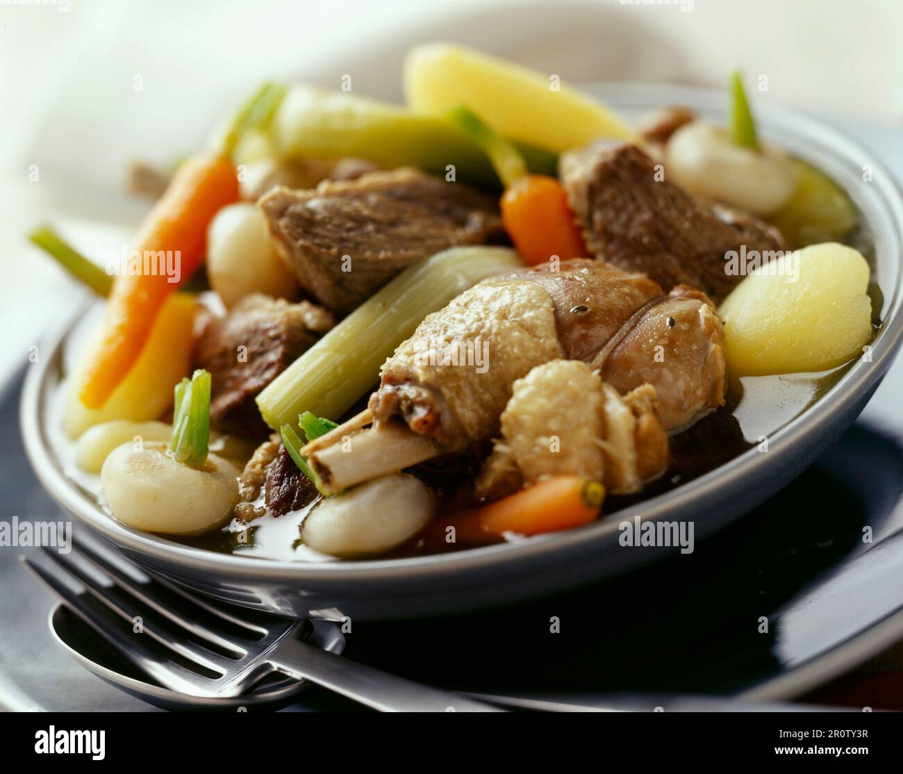 Duck and vegetable stew Stock Photo - Alamy