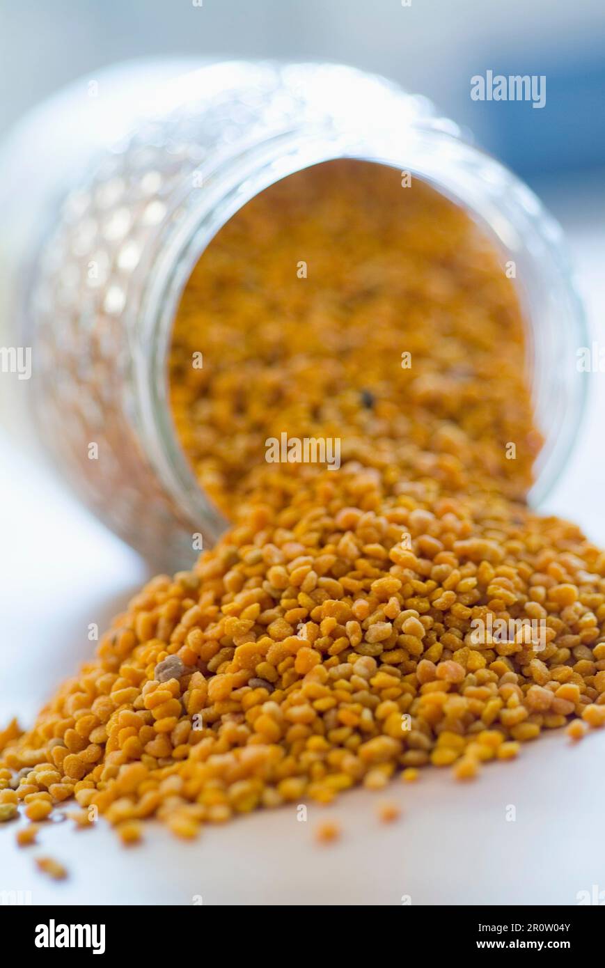 Pollen storage hi-res stock photography and images - Alamy