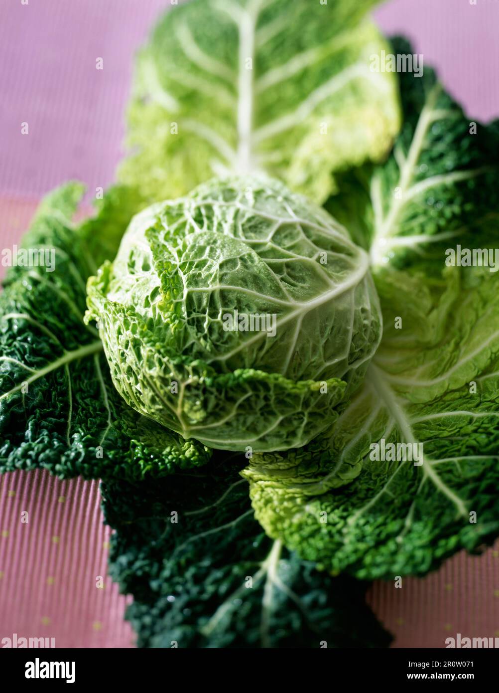 Savoy cabbage on light hi-res stock photography and images - Alamy