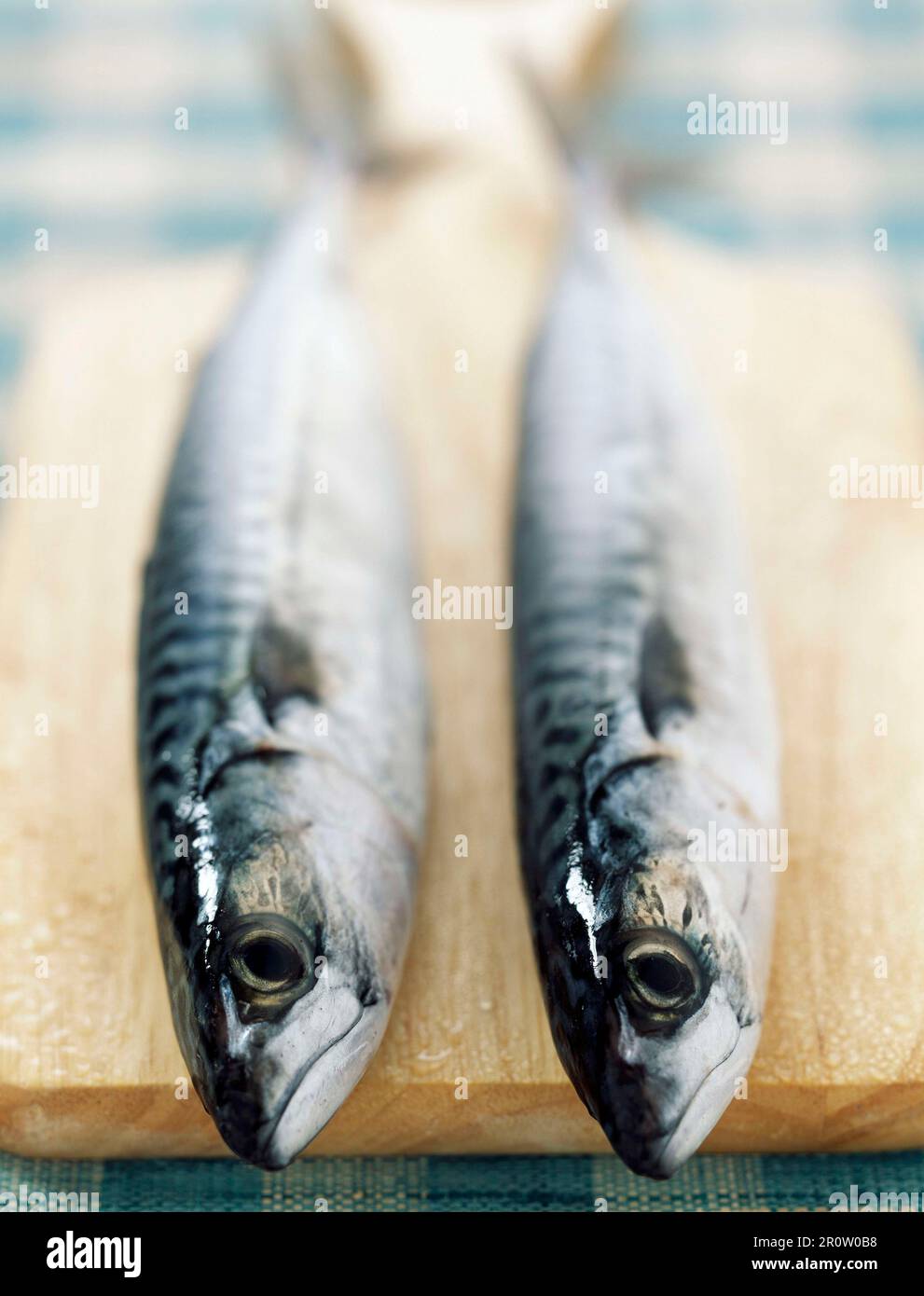 Mackerel colours hi-res stock photography and images - Alamy