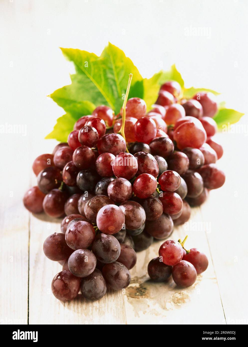 bunch of Cardinal grapes Stock Photo - Alamy
