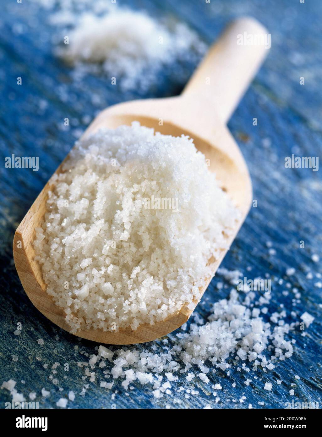 Salt wort hi-res stock photography and images - Alamy