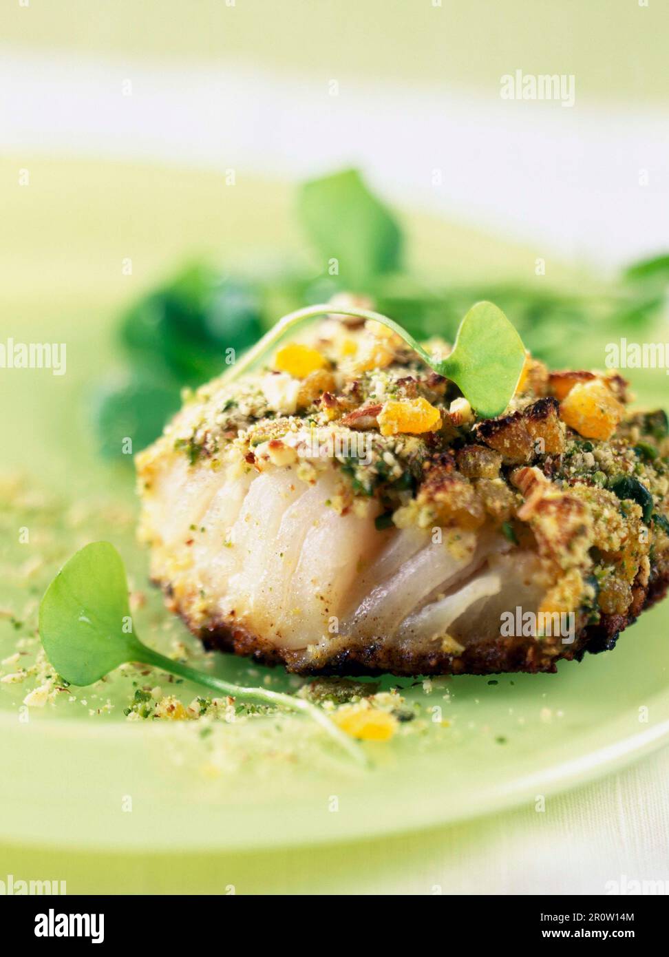 Pollock coated in crushed Mendiants Stock Photo - Alamy