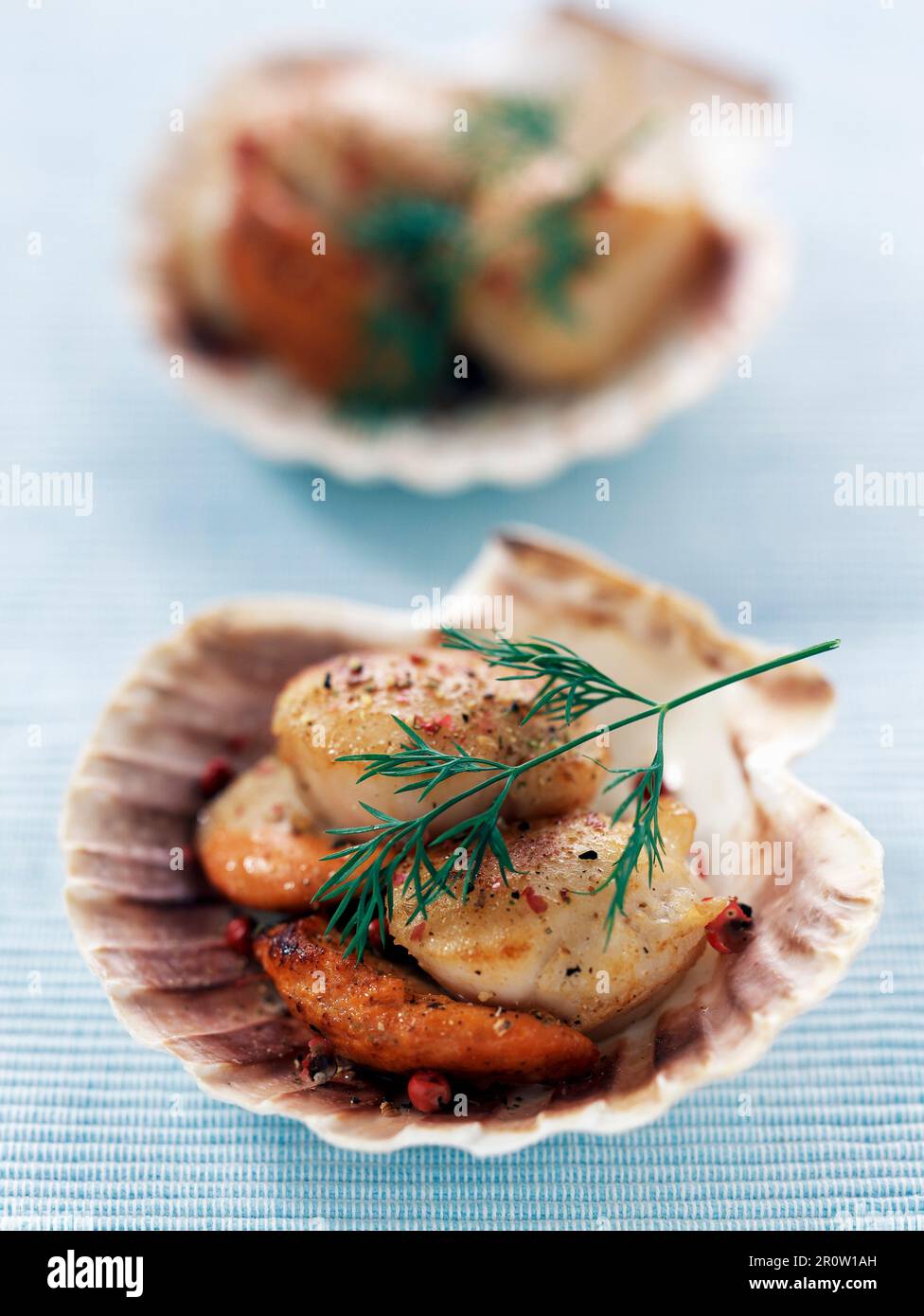 St jacques cockle hi-res stock photography and images - Alamy