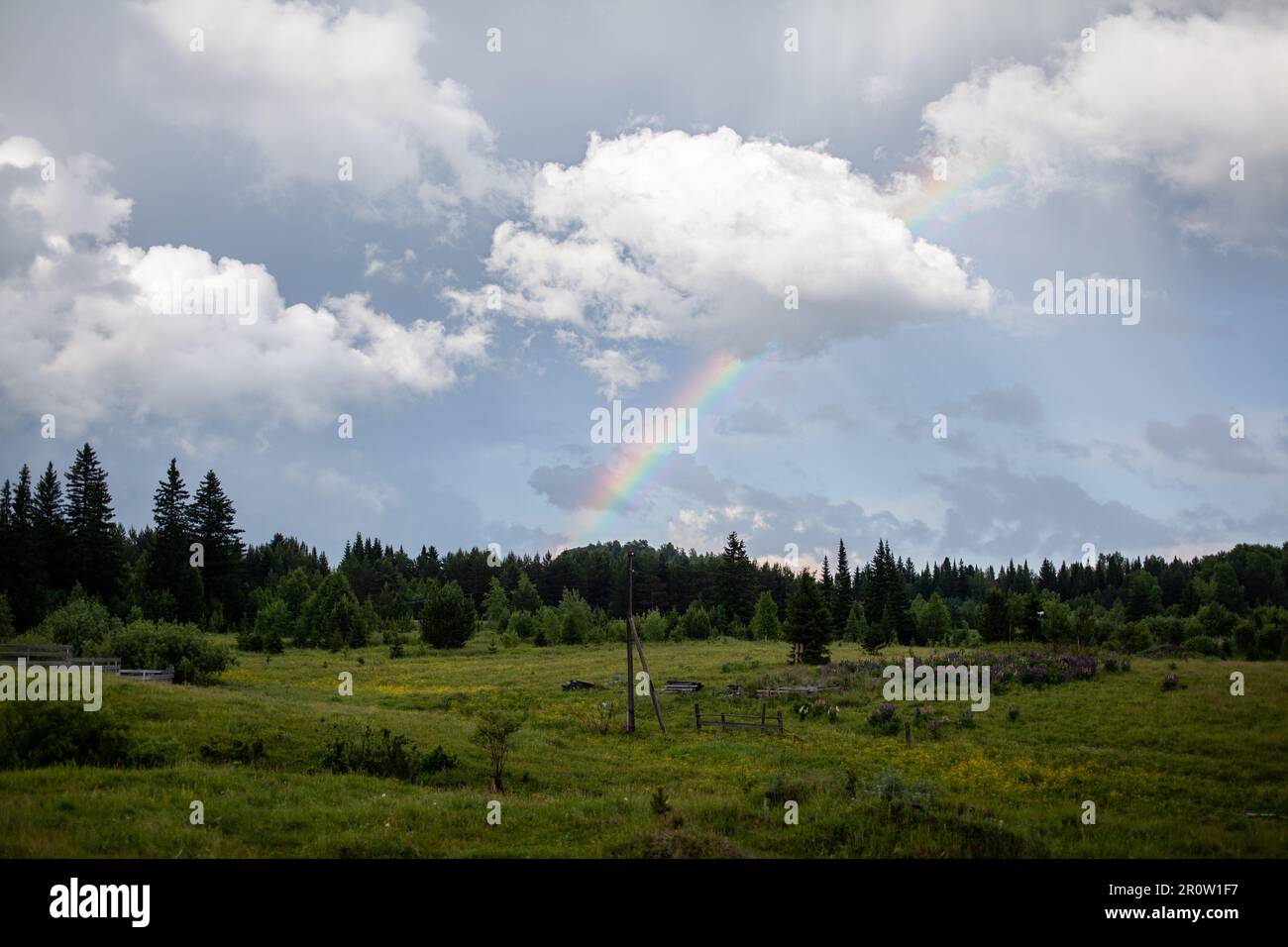 Beautiful rainbow after the rain over the forest in the village ...