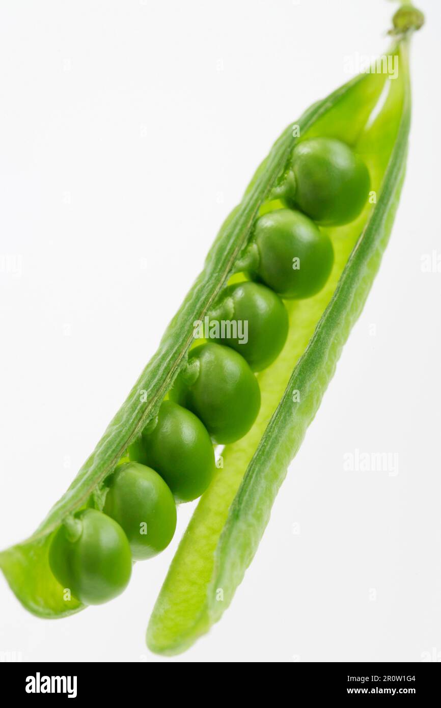 Peas in pod Stock Photo - Alamy