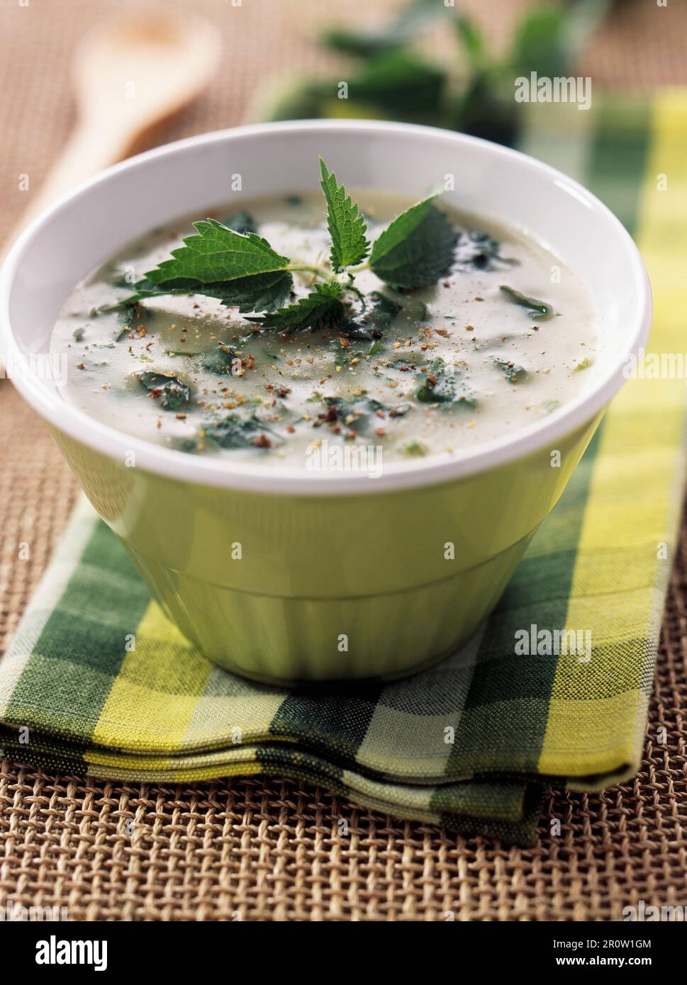 Stinging nettle cream hi-res stock photography and images - Alamy