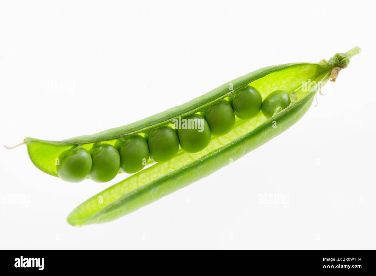 Transparent pod hi-res stock photography and images - Alamy