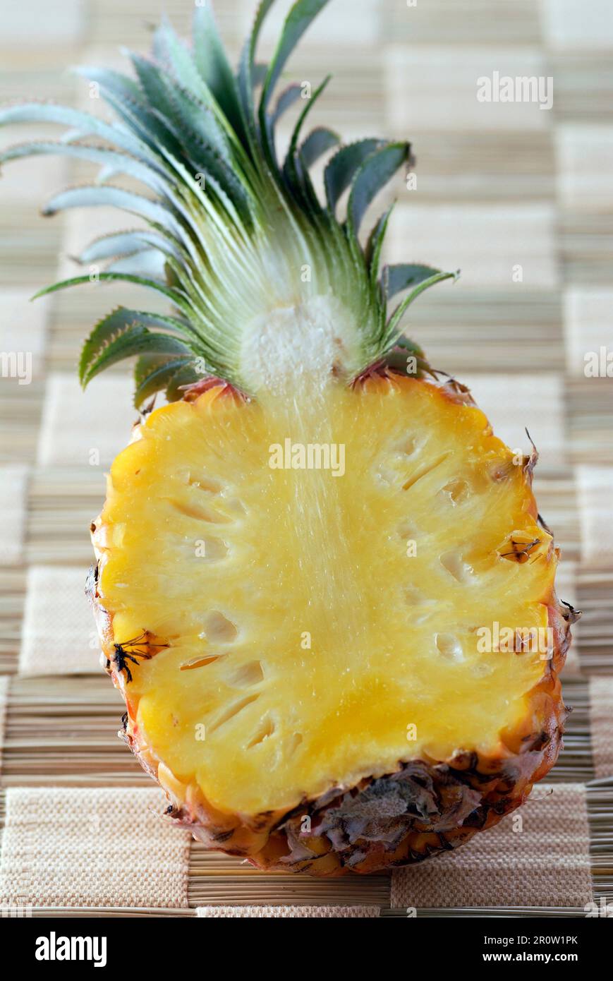 pineapple cut in half Stock Photo - Alamy