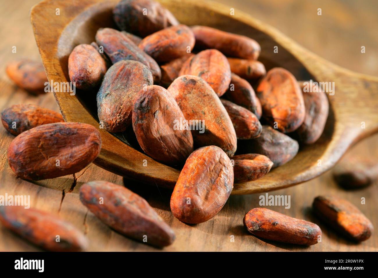 Fava cacao hi-res stock photography and images - Alamy