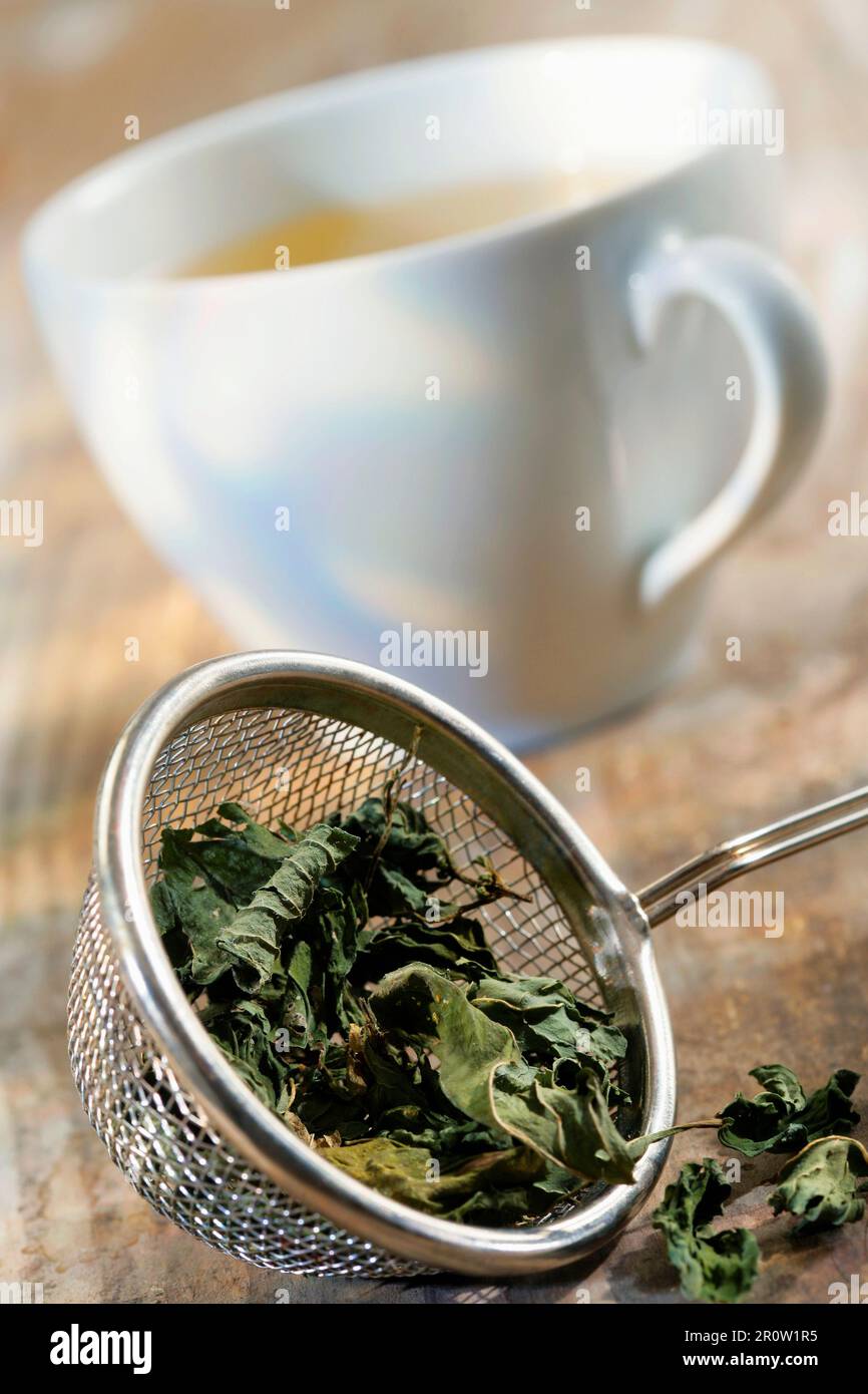 Loose tea in sieve and cup of tea Stock Photo - Alamy