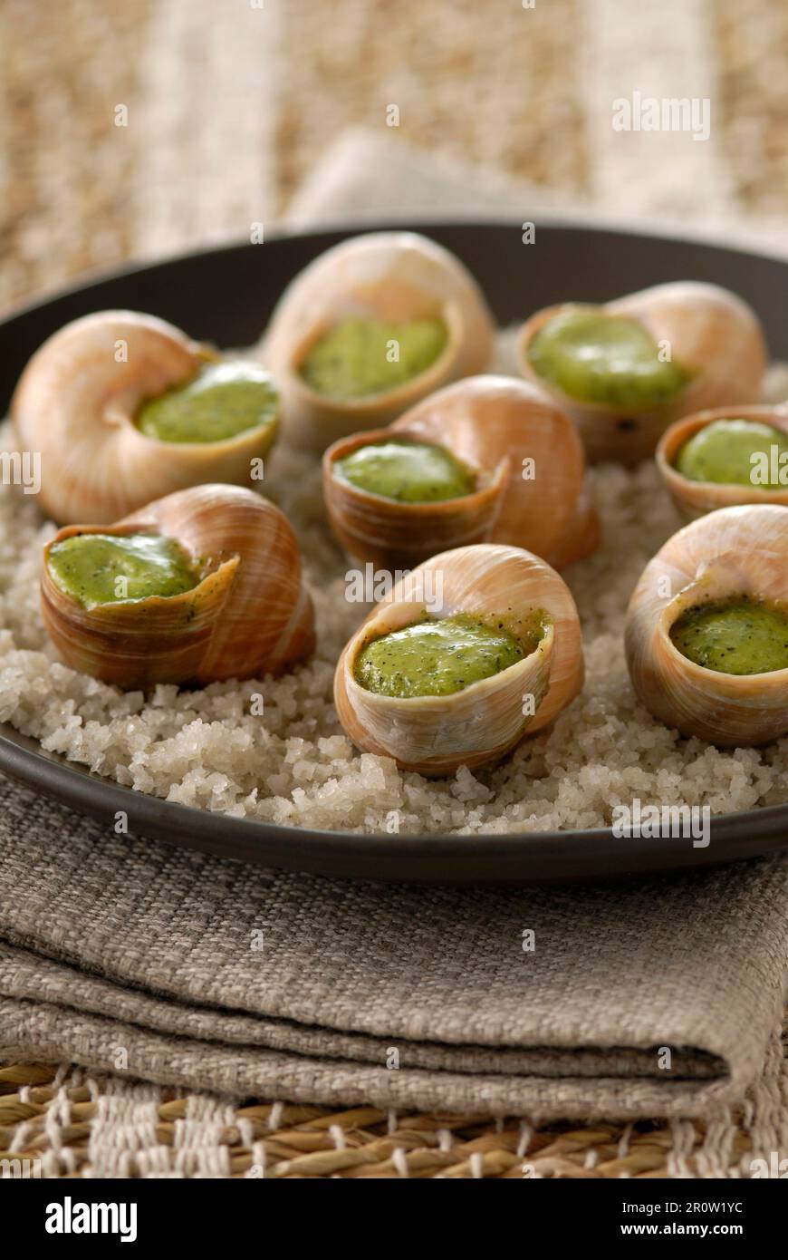 Snails from Bourgogne Stock Photo - Alamy