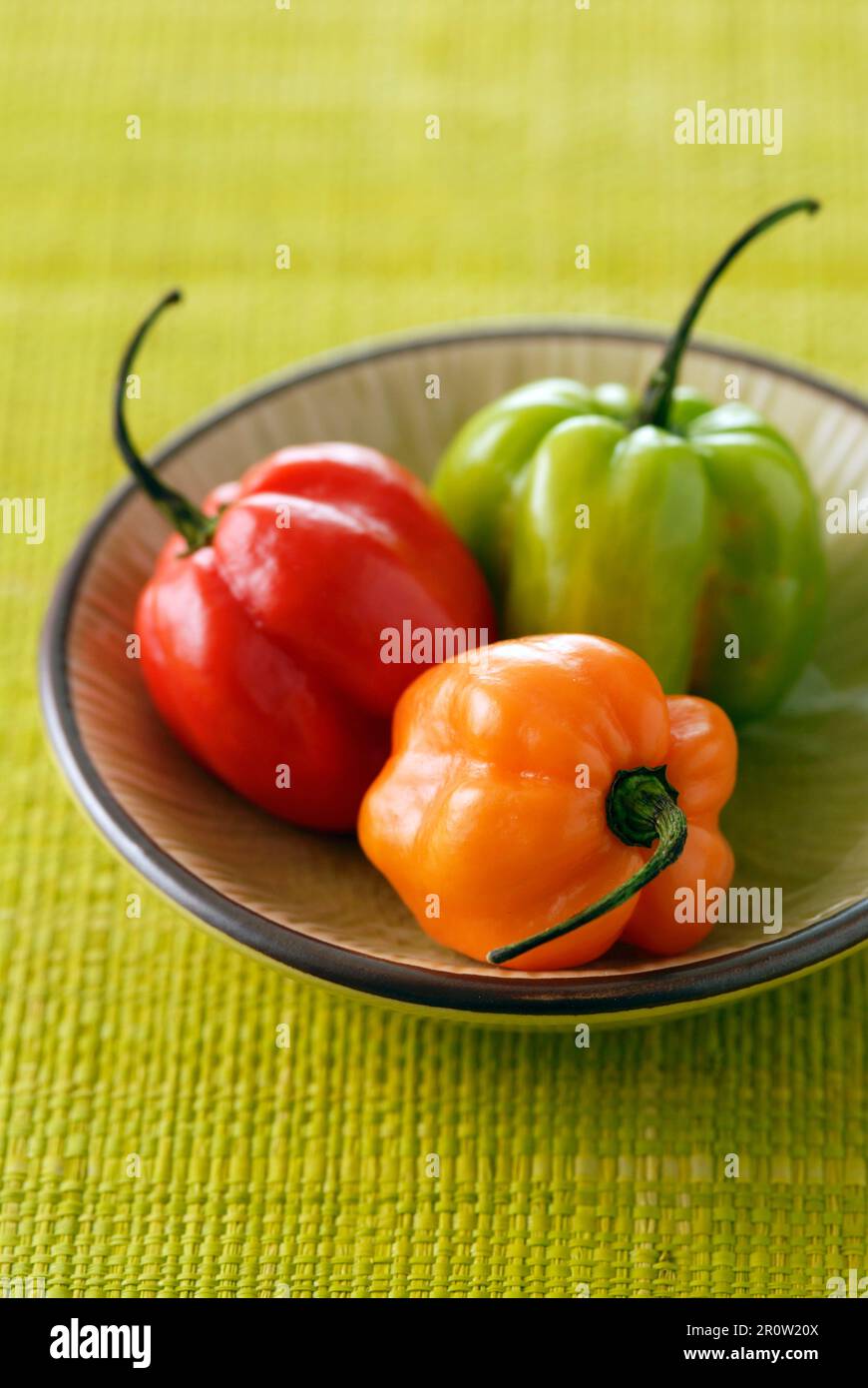 west Indian peppers Stock Photo - Alamy