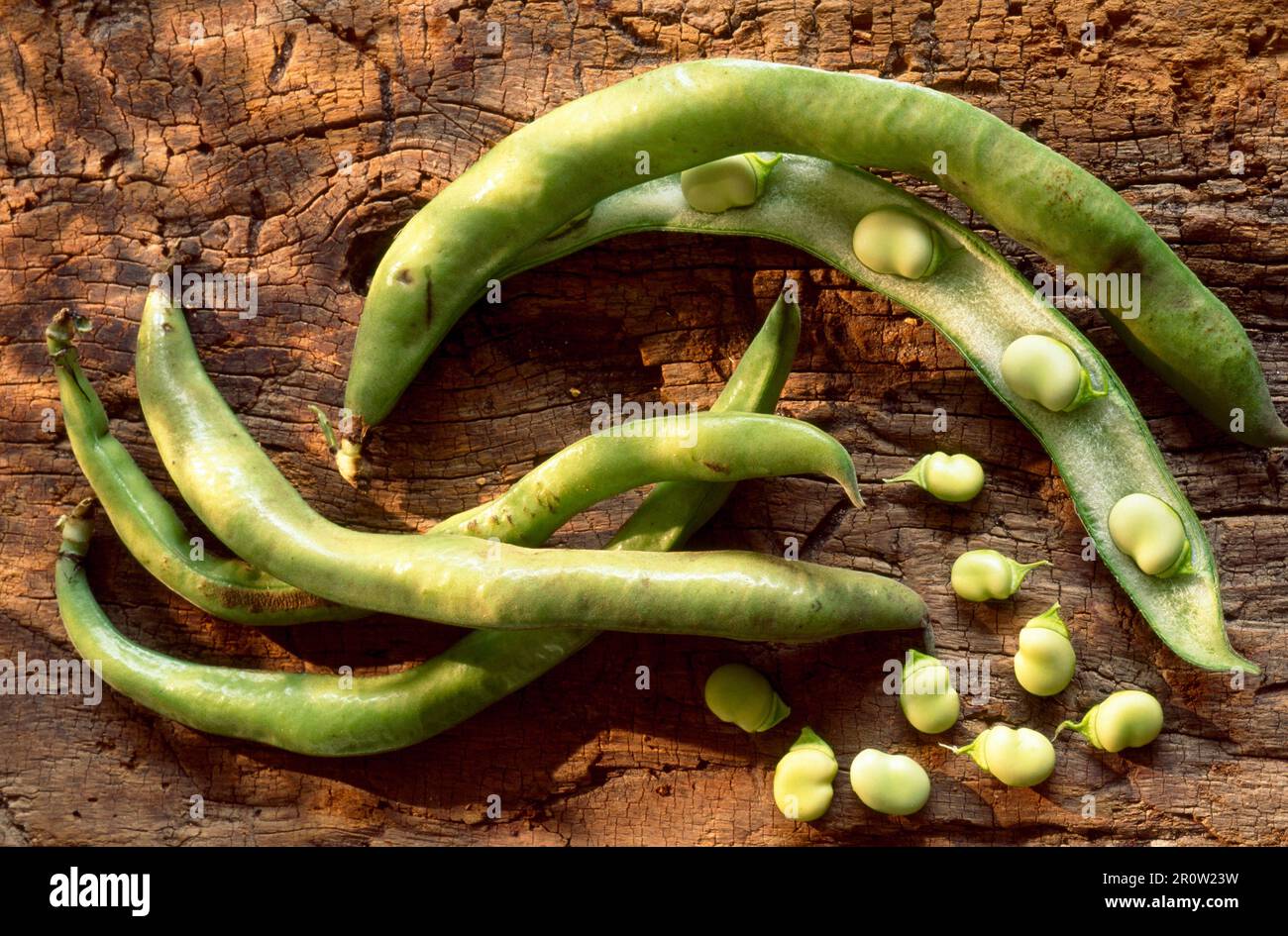 Shell beans with pods product Stock Photo - Alamy