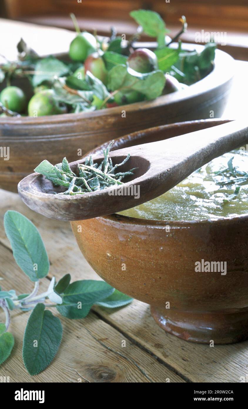 Buchin hi-res stock photography and images - Alamy