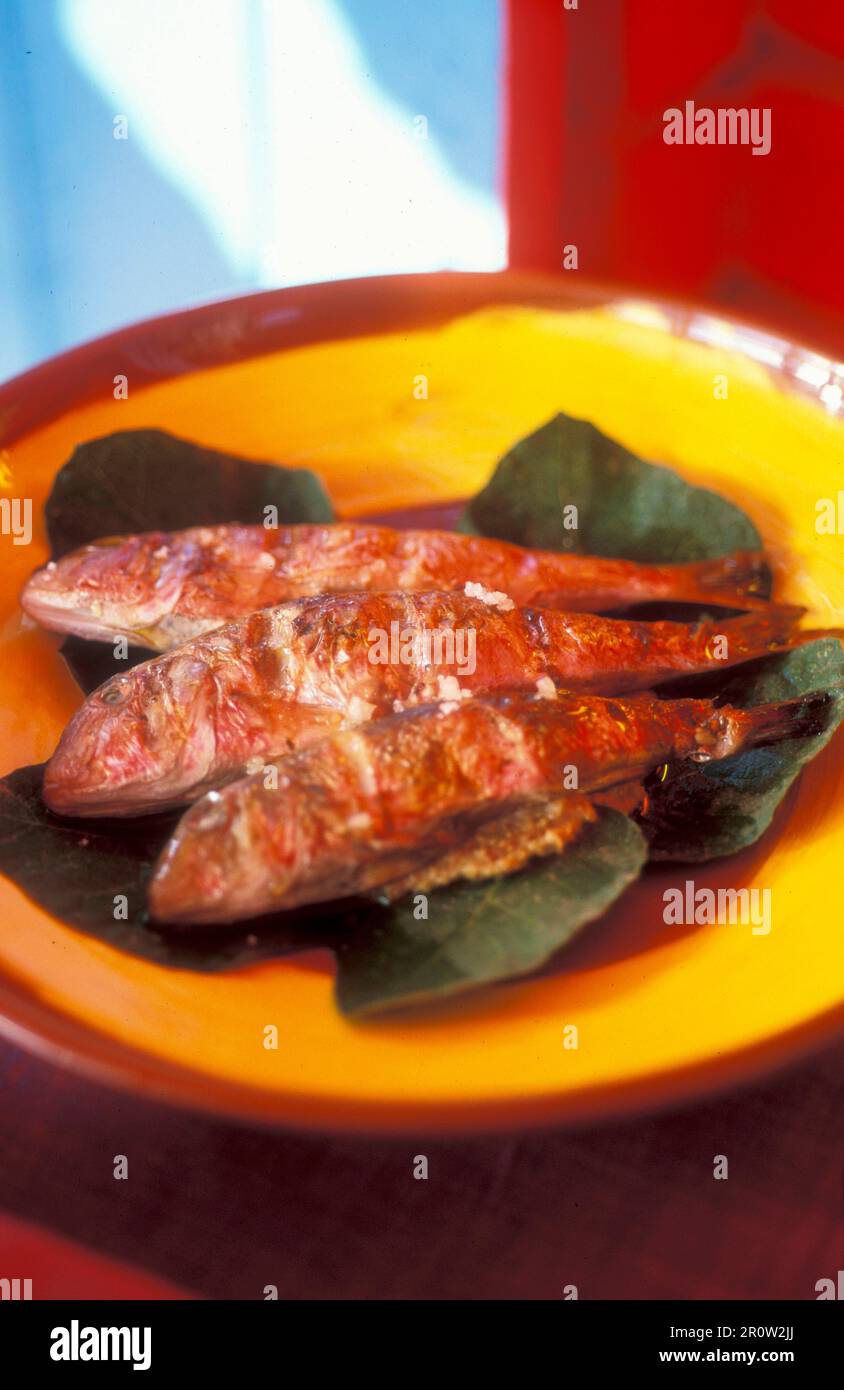 Bright mullet hi-res stock photography and images - Alamy