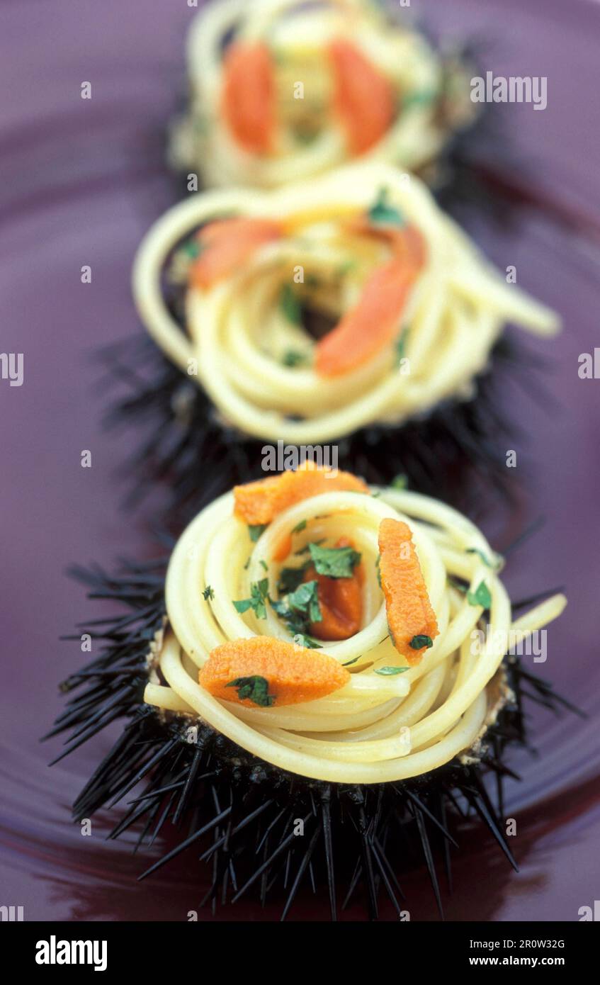 Spaghetti with sea urchins Stock Photo - Alamy