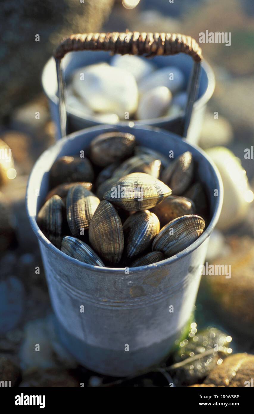 Clam shell buckets hi-res stock photography and images - Alamy