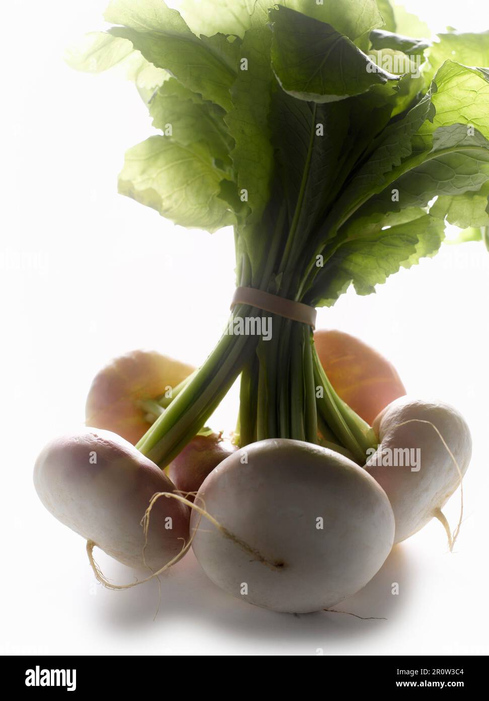 Bunch of fresh turnips Stock Photo - Alamy