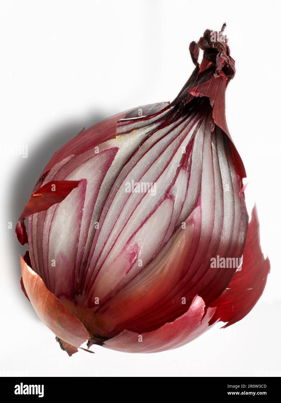 Red onion cut in half Stock Photo - Alamy