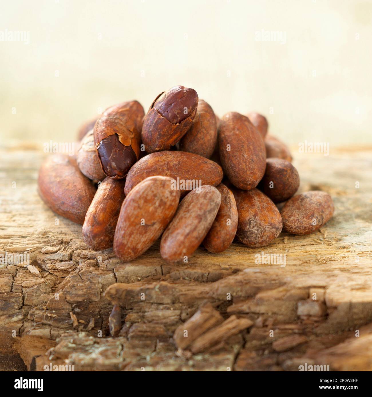 Cacao beans cut out hi-res stock photography and images - Alamy