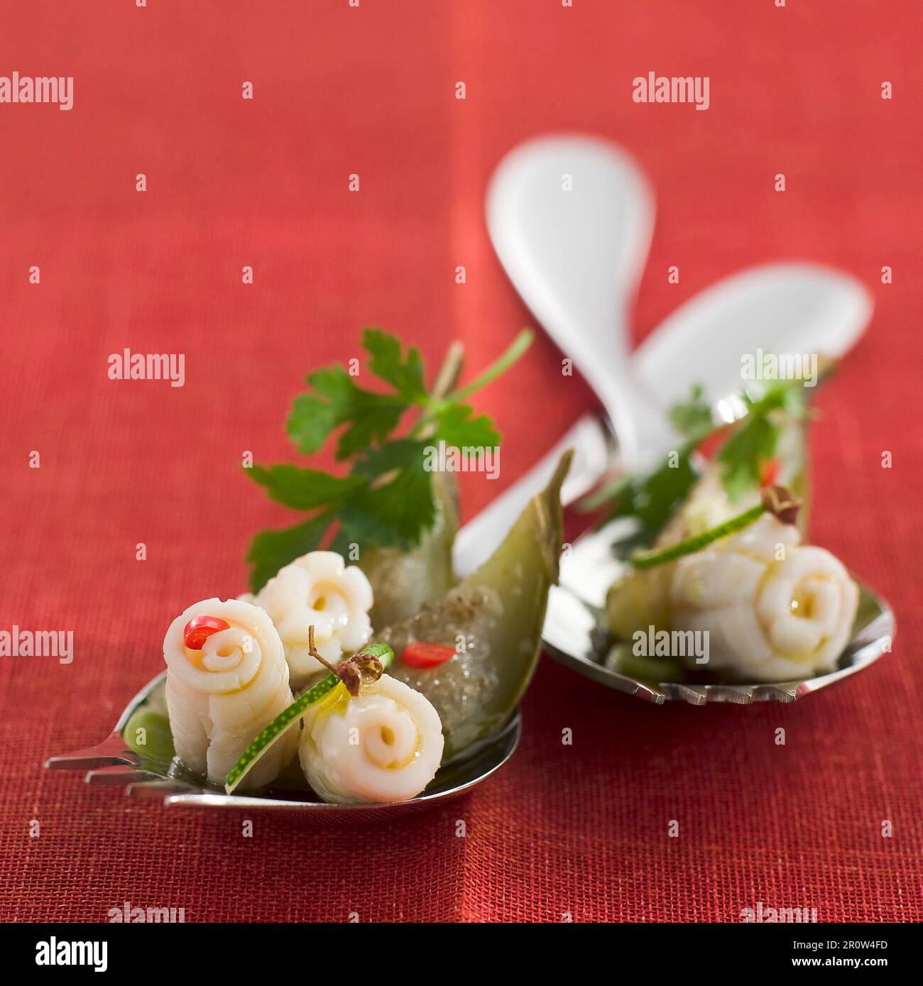 Squid family hi-res stock photography and images - Alamy