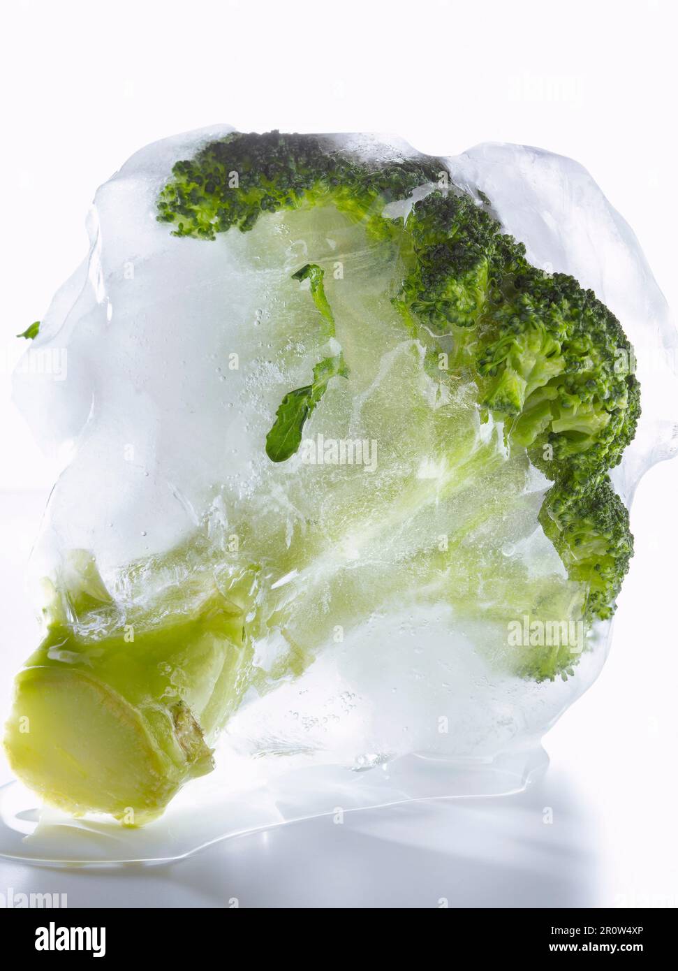 Broccoli in ice Stock Photo - Alamy