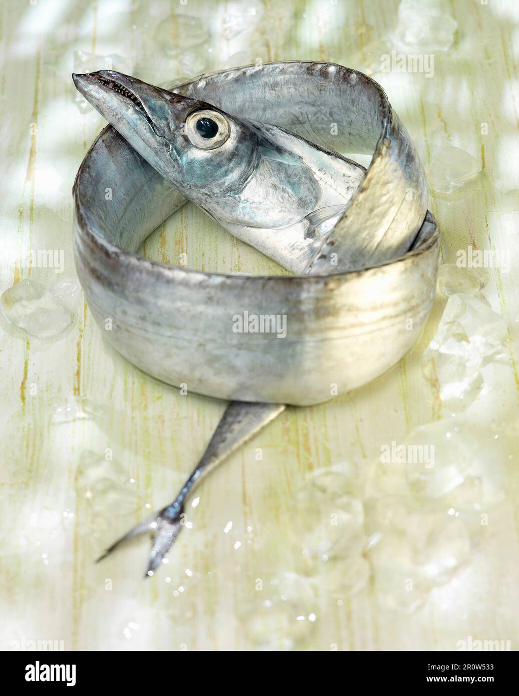 Scabbard fish hi-res stock photography and images - Alamy