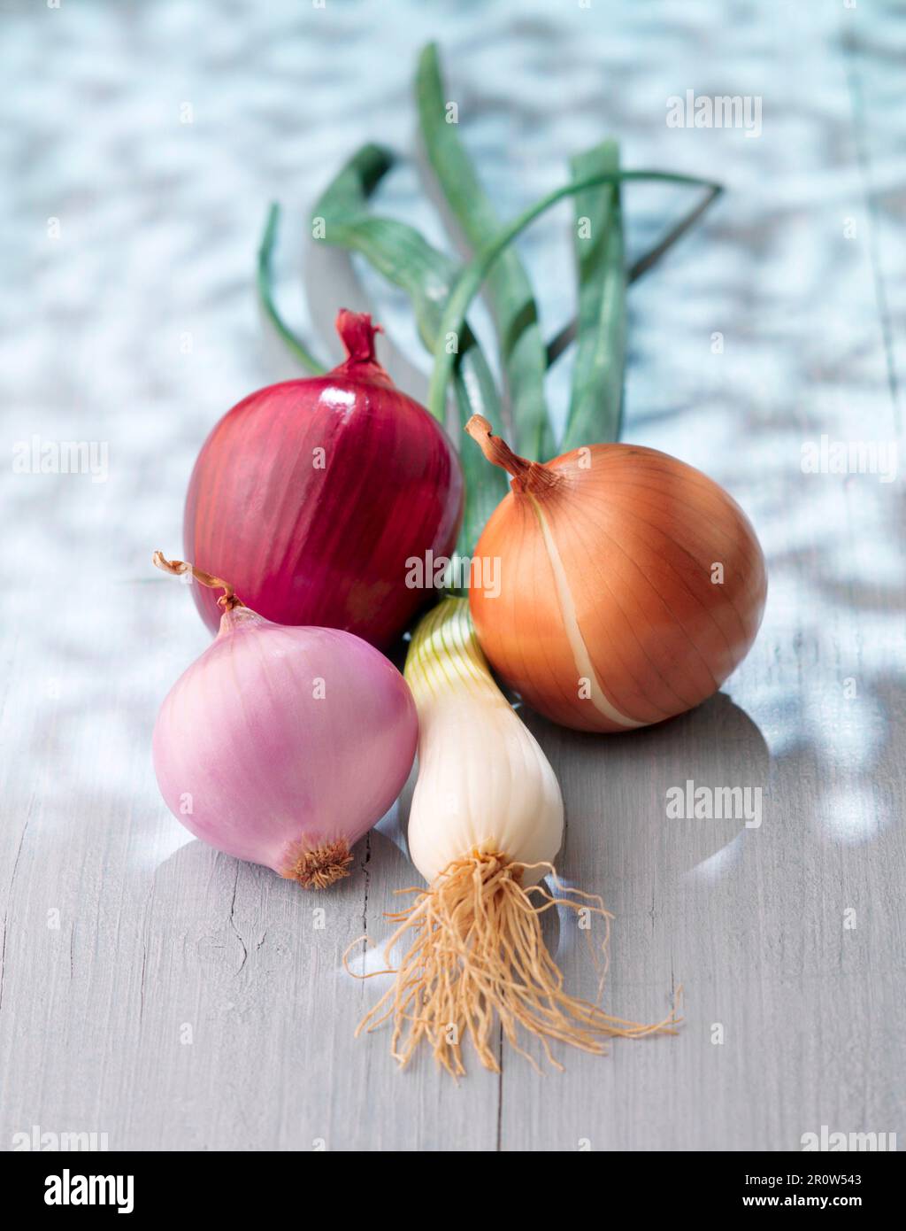Assorted onions hi-res stock photography and images - Alamy