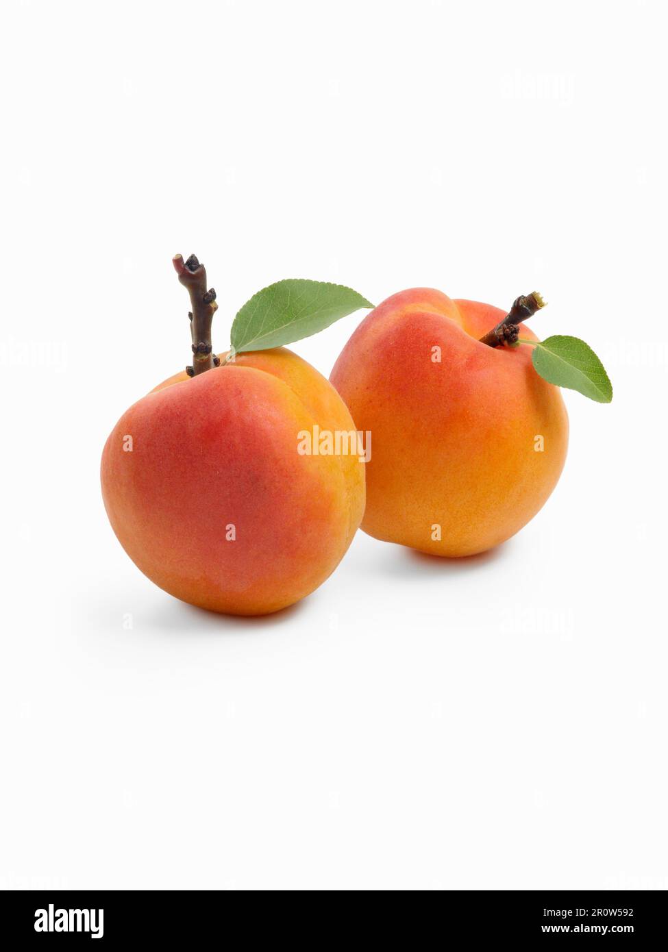 Two whole apricots hi-res stock photography and images - Alamy