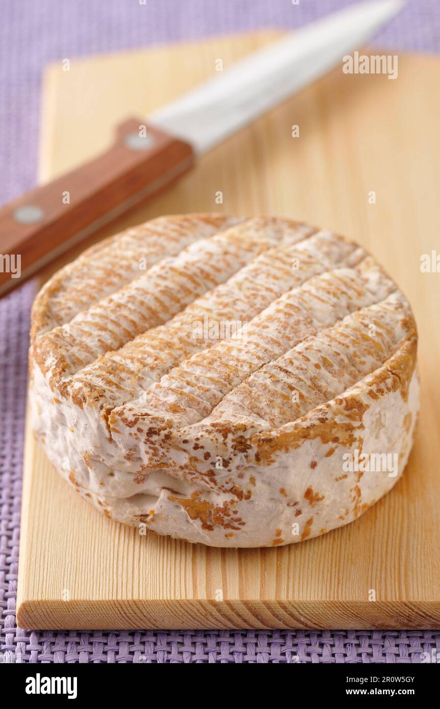 Purple cheese knife hi-res stock photography and images - Alamy