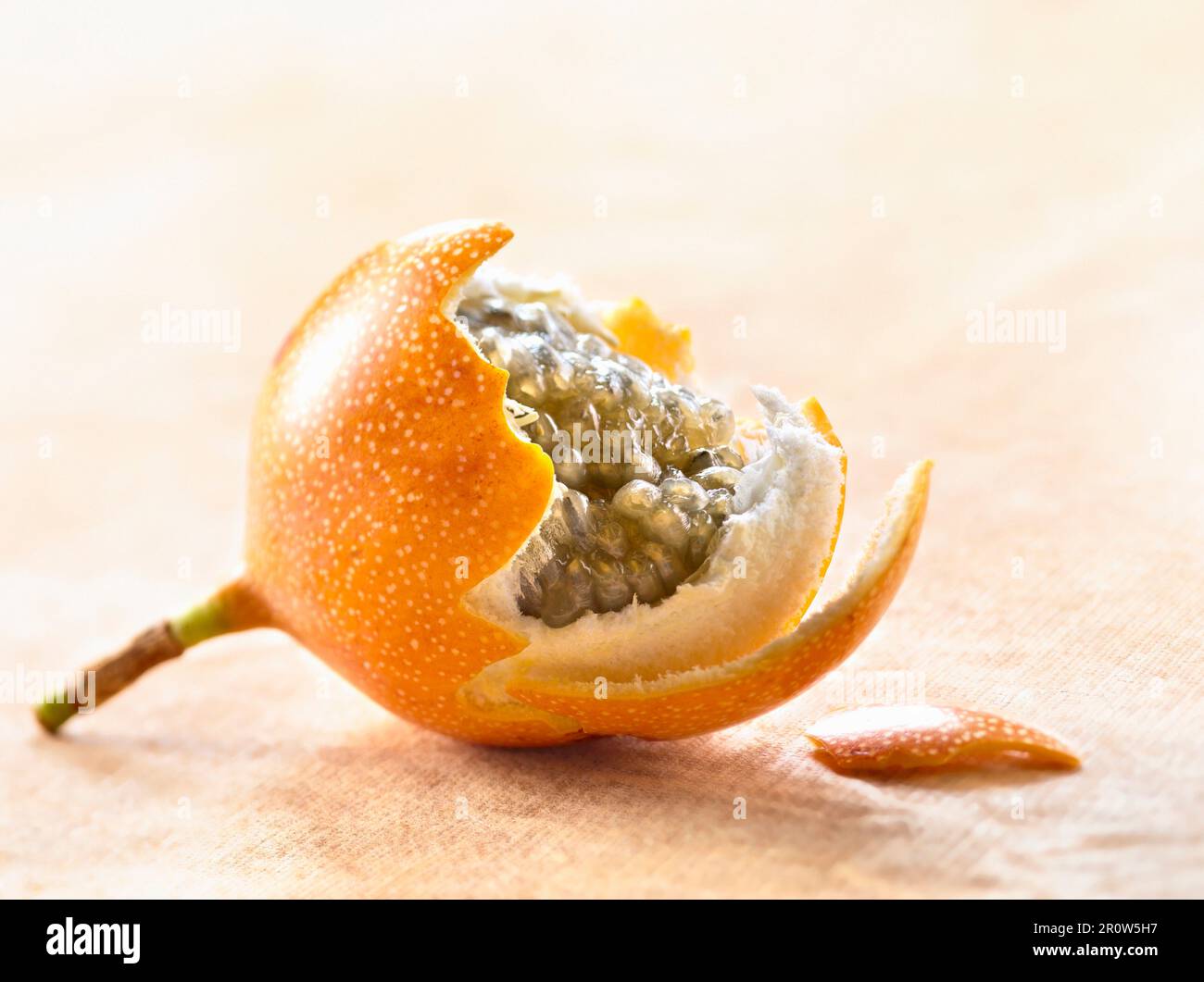 Granadillo hi-res stock photography and images - Alamy