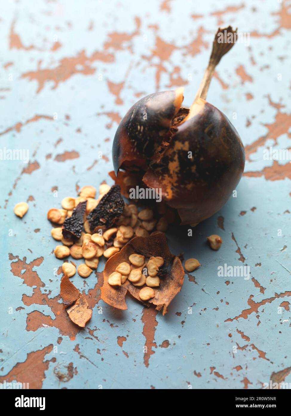 Chili cascabel hi-res stock photography and images - Alamy