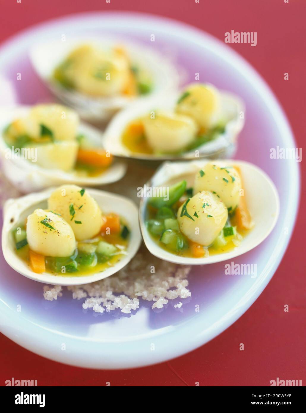 Pétoncle hi-res stock photography and images - Alamy