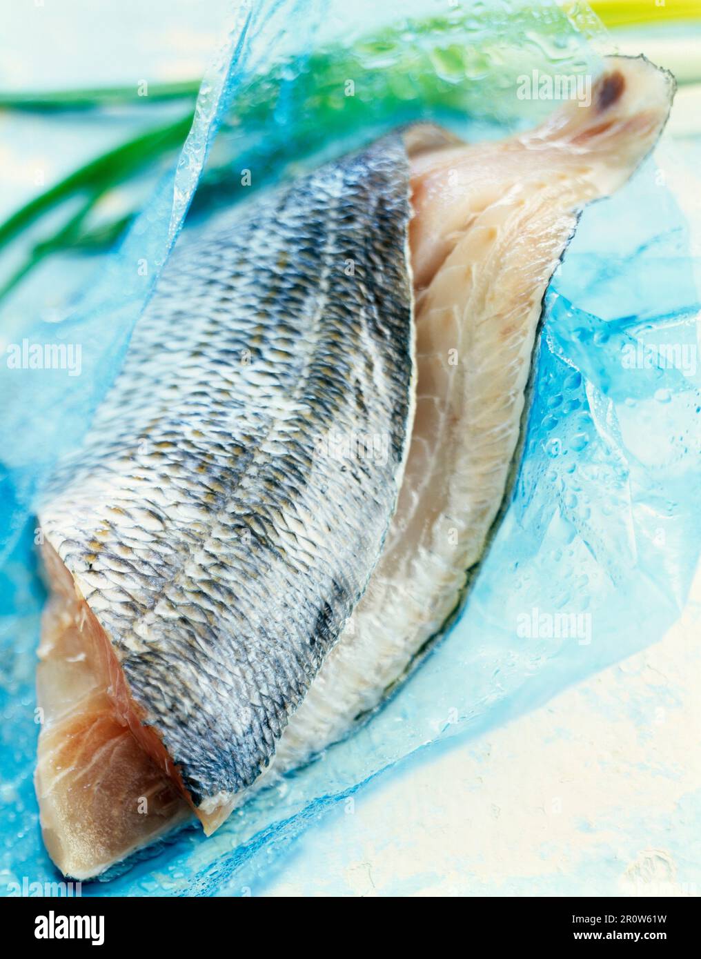 Raw sea bream fillets Stock Photo - Alamy