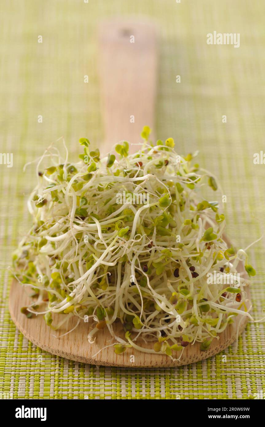 Shoots recipe hi-res stock photography and images - Alamy