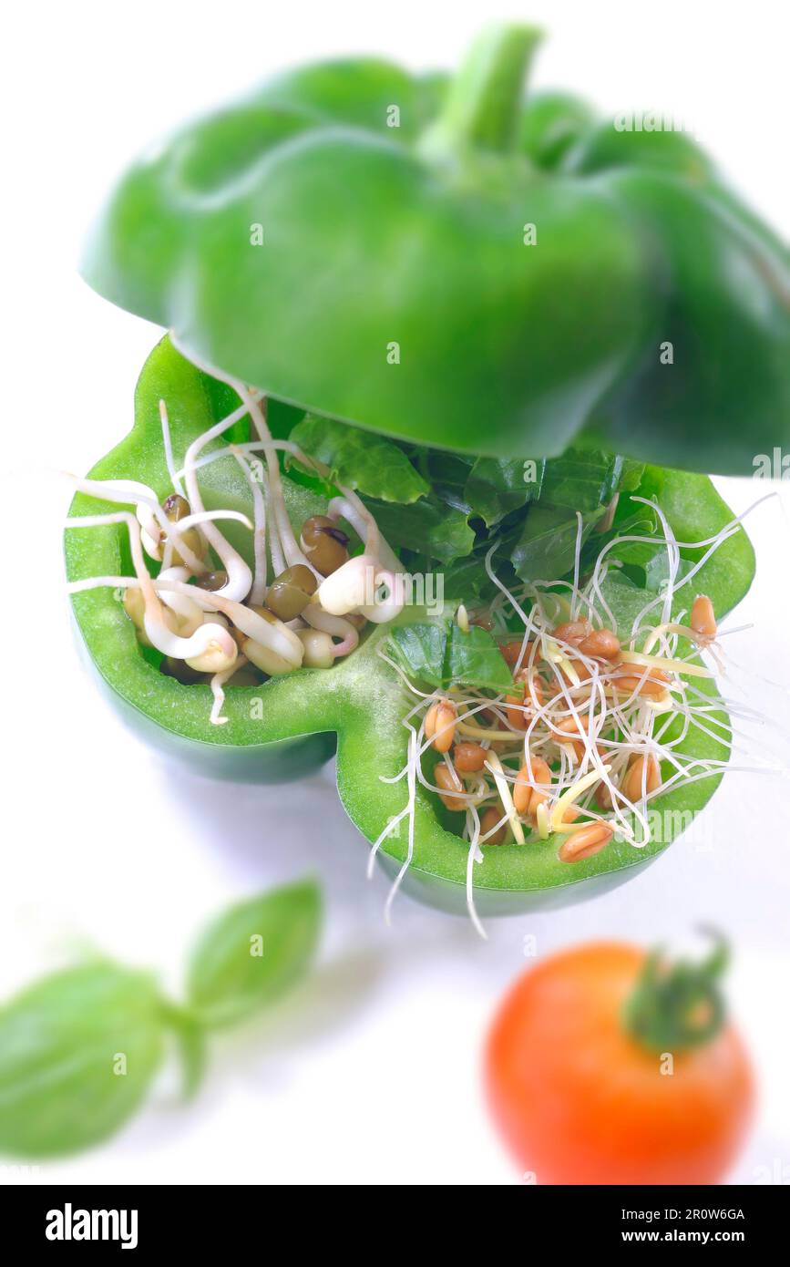 Raw green pepper stuffed with shoots Stock Photo - Alamy
