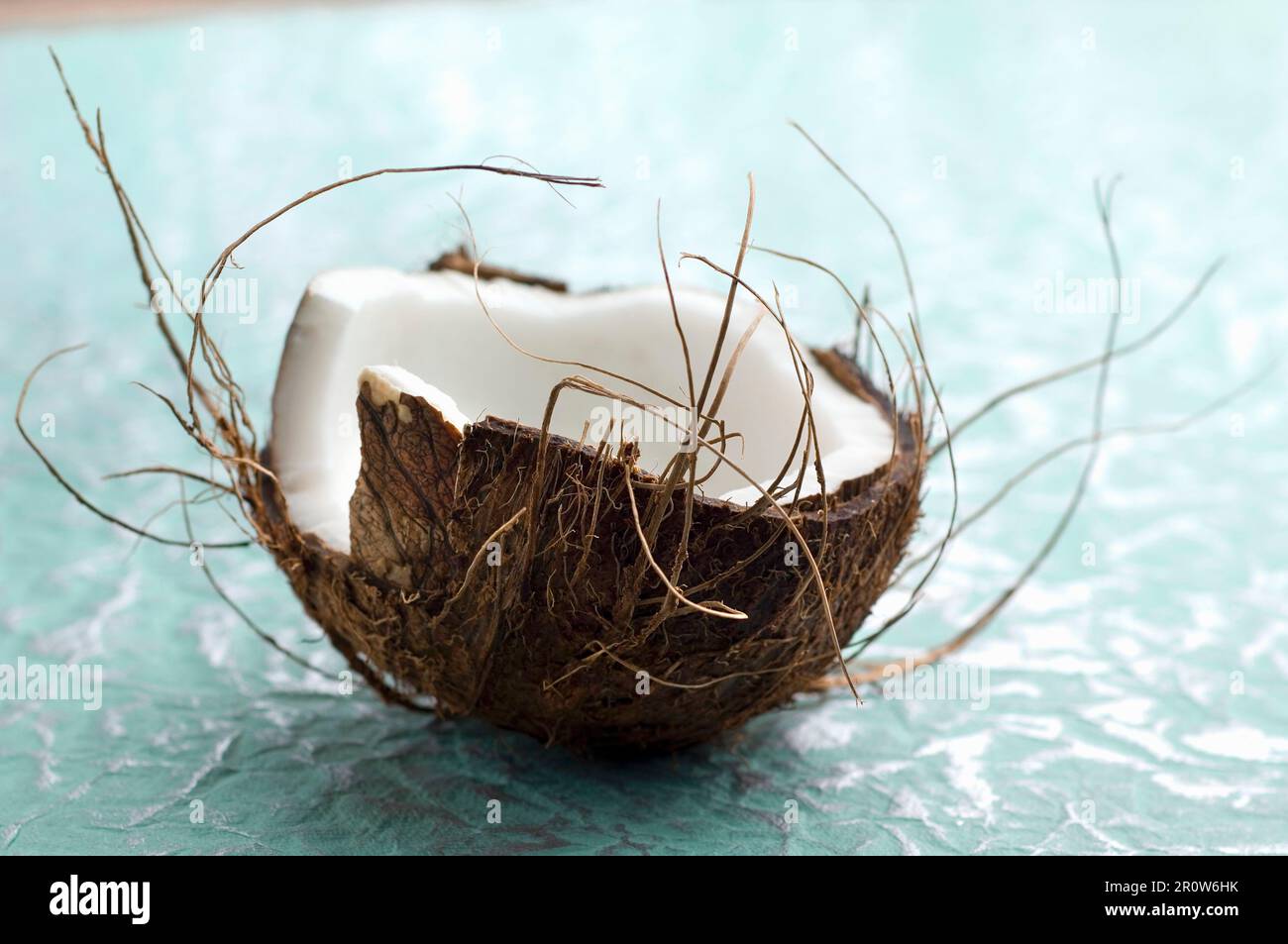 Half a coconut Stock Photo - Alamy
