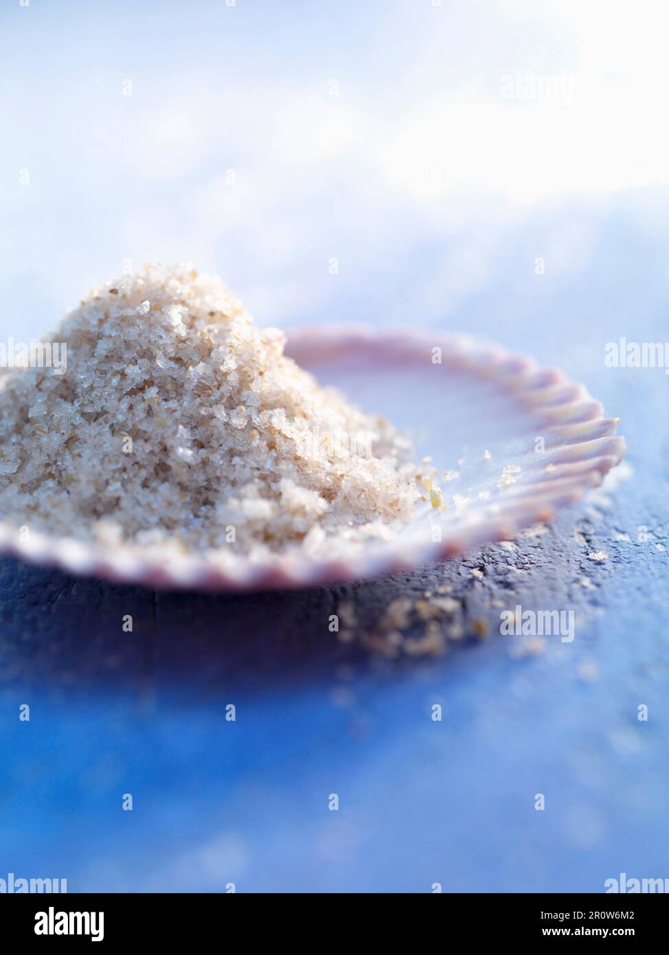 Fleur de sel sea salt in a scallop's shell Stock Photo - Alamy
