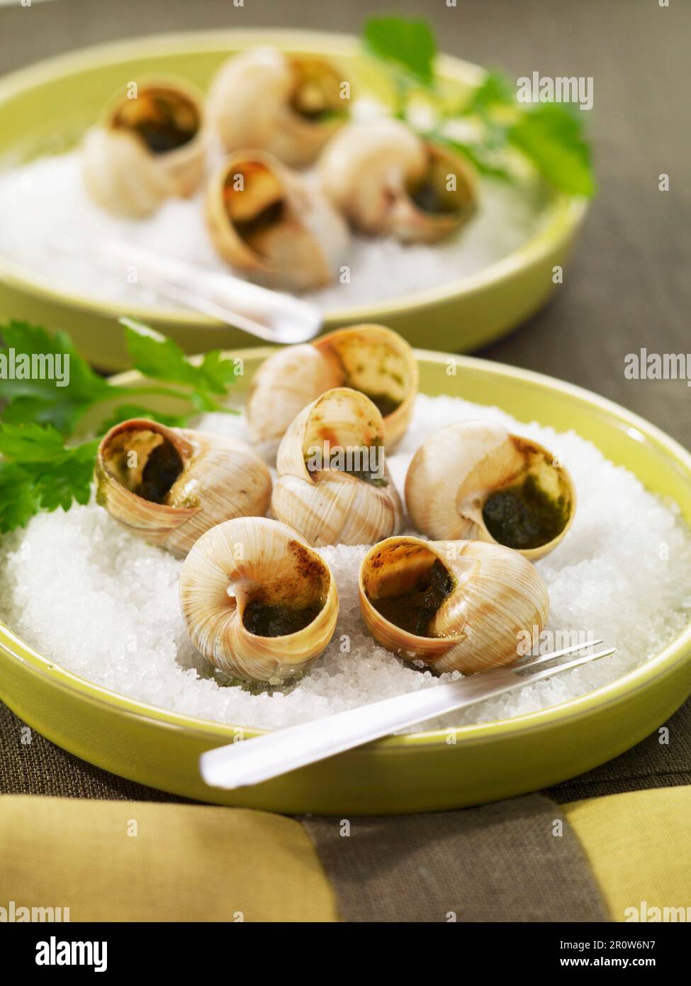 Snails from Bourgogne with parsley butter Stock Photo - Alamy