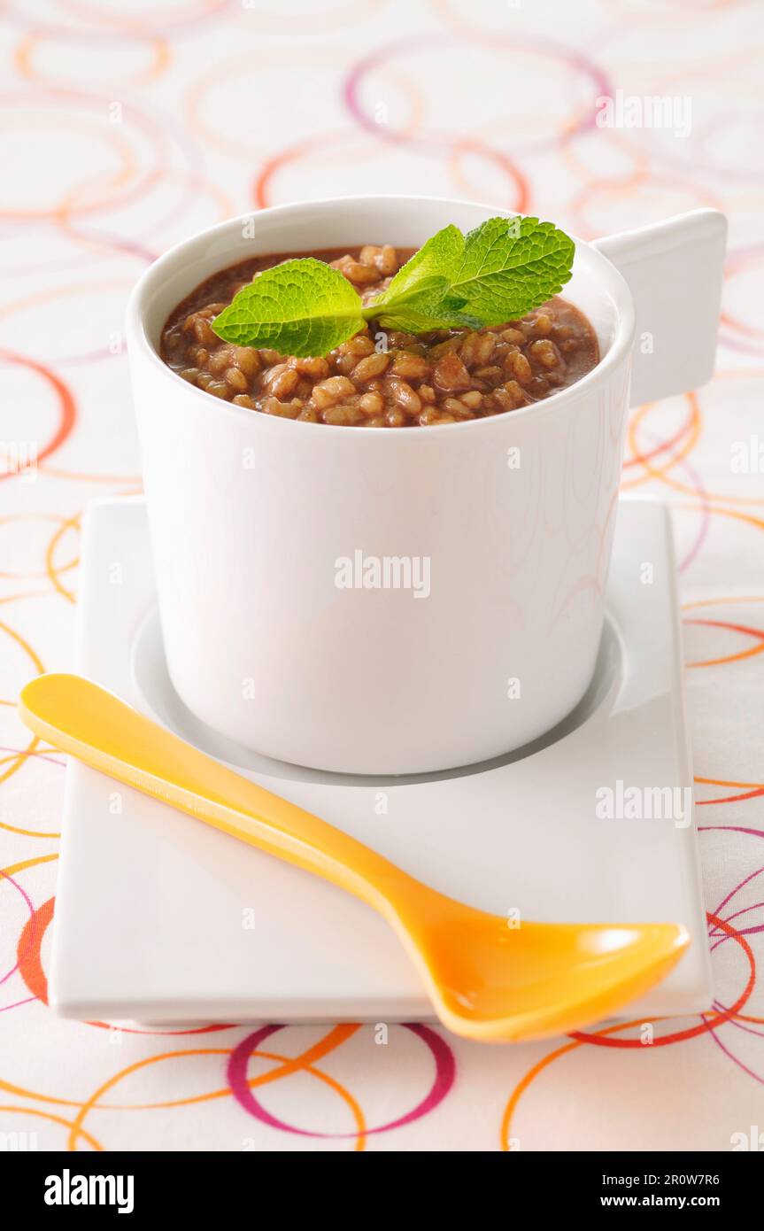 Chocolate and mint-flavored rice pudding Stock Photo - Alamy