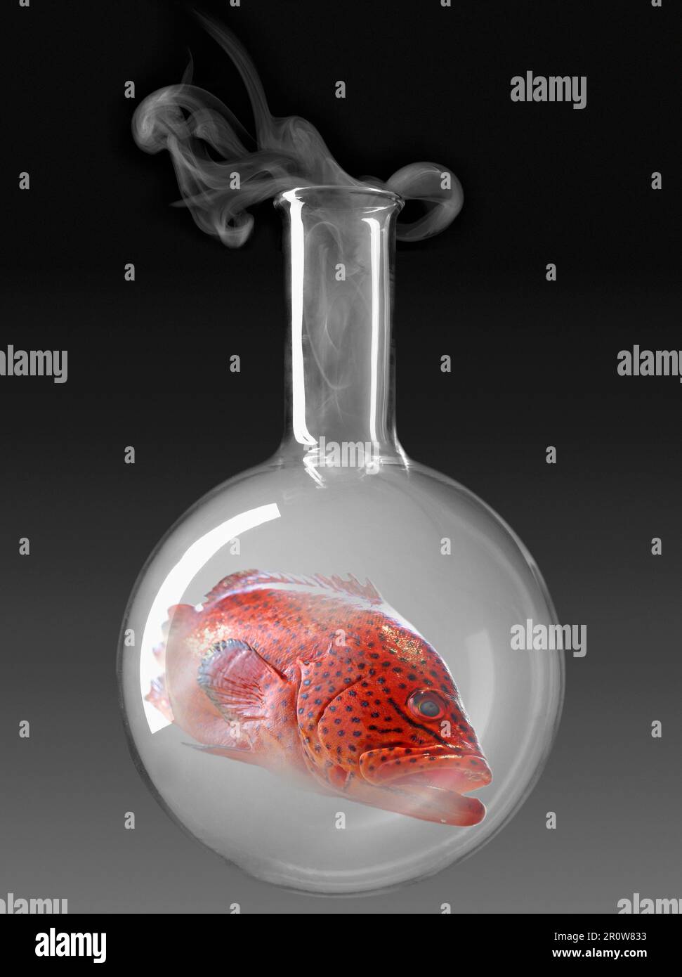 Fish symbol outline hi-res stock photography and images - Alamy