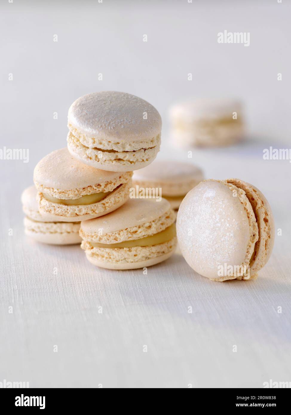 White truffle macaroons Stock Photo - Alamy