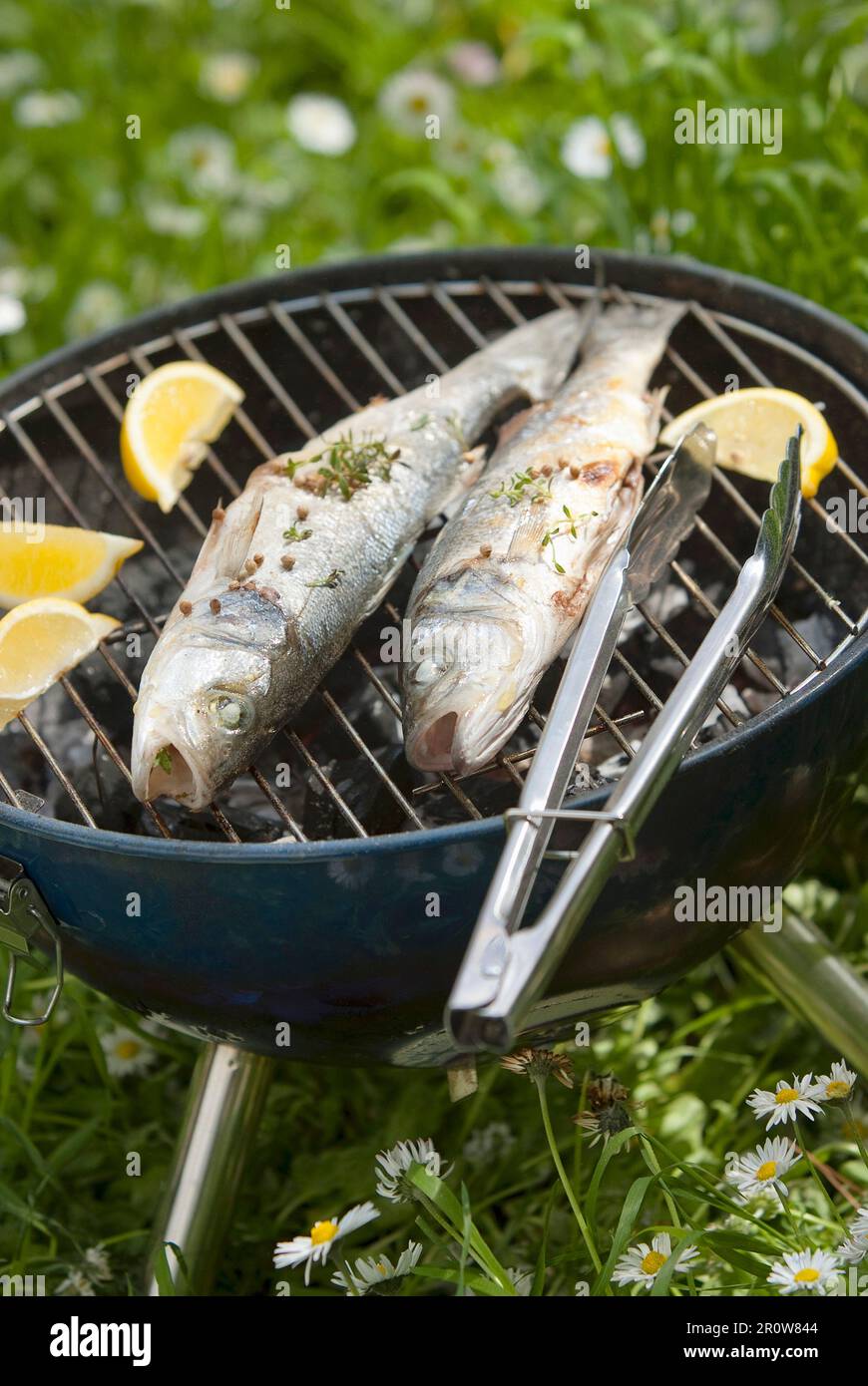 Grilled bass on the barbecue Stock Photo - Alamy