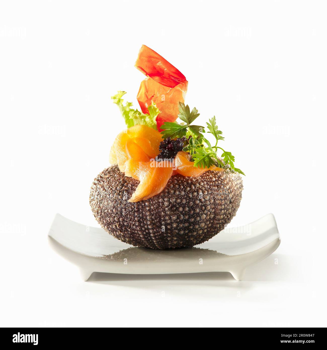 Roe dear Cut Out Stock Images & Pictures - Alamy