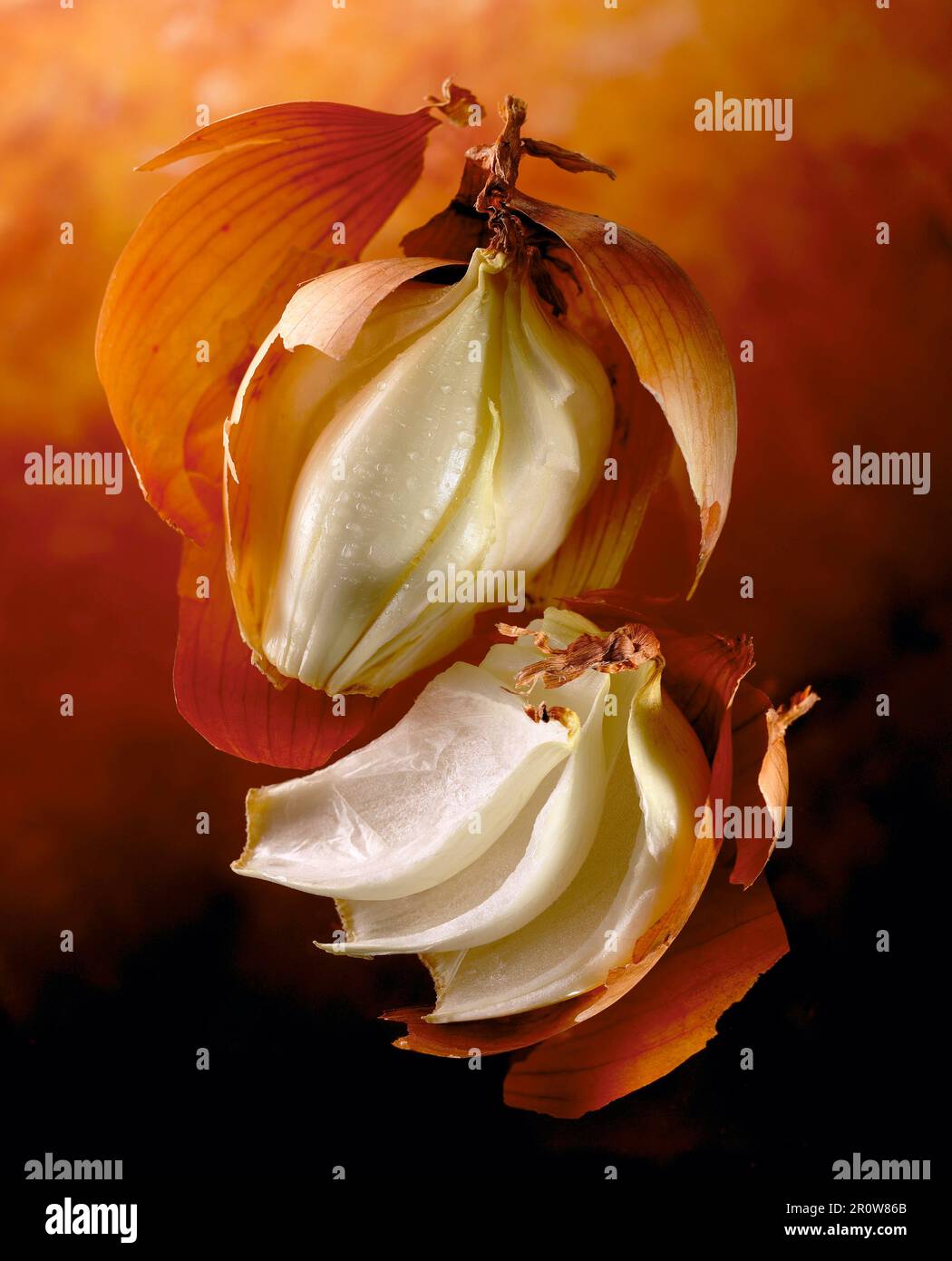 Onion peeled with skin hi-res stock photography and images - Alamy