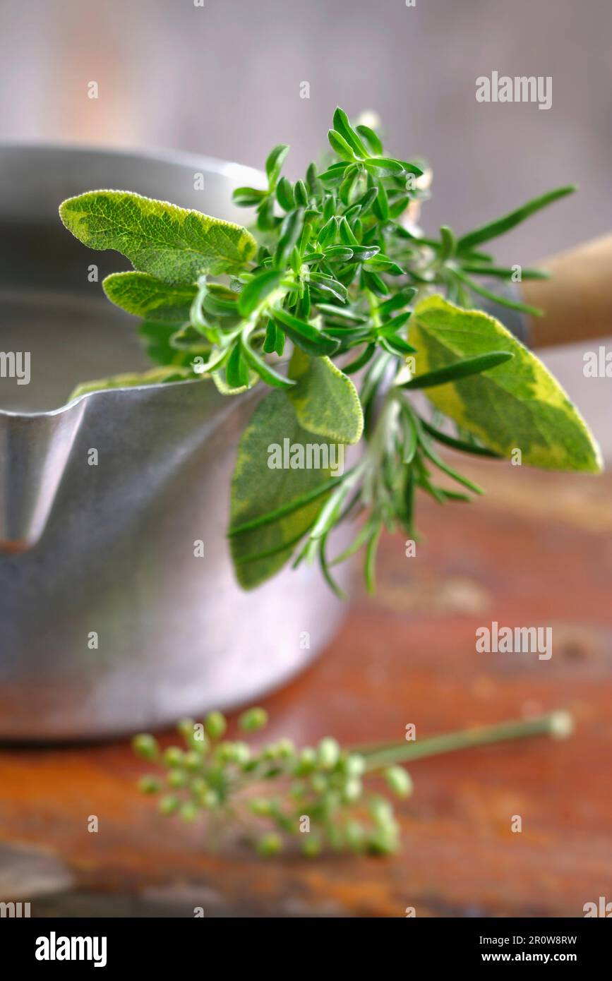 Herbs pot selection hi-res stock photography and images - Alamy