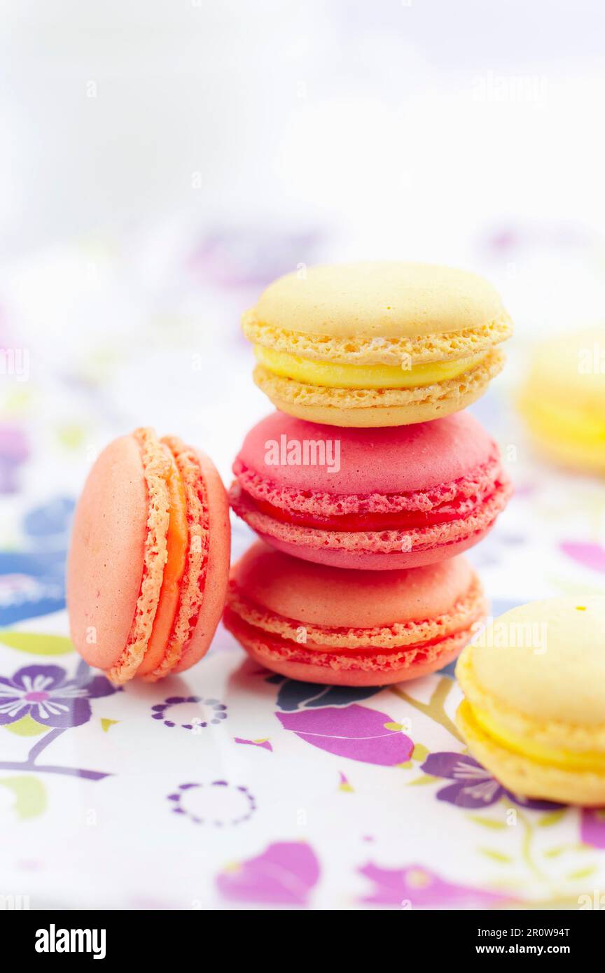 Mixed citrus fruit macaroons Stock Photo - Alamy