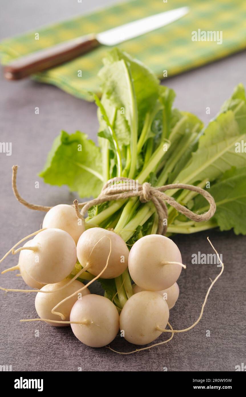 Bunch of turnips hi-res stock photography and images - Alamy