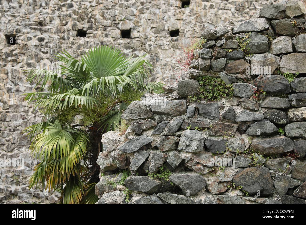 Beautiful old weathered walls hi-res stock photography and images - Alamy